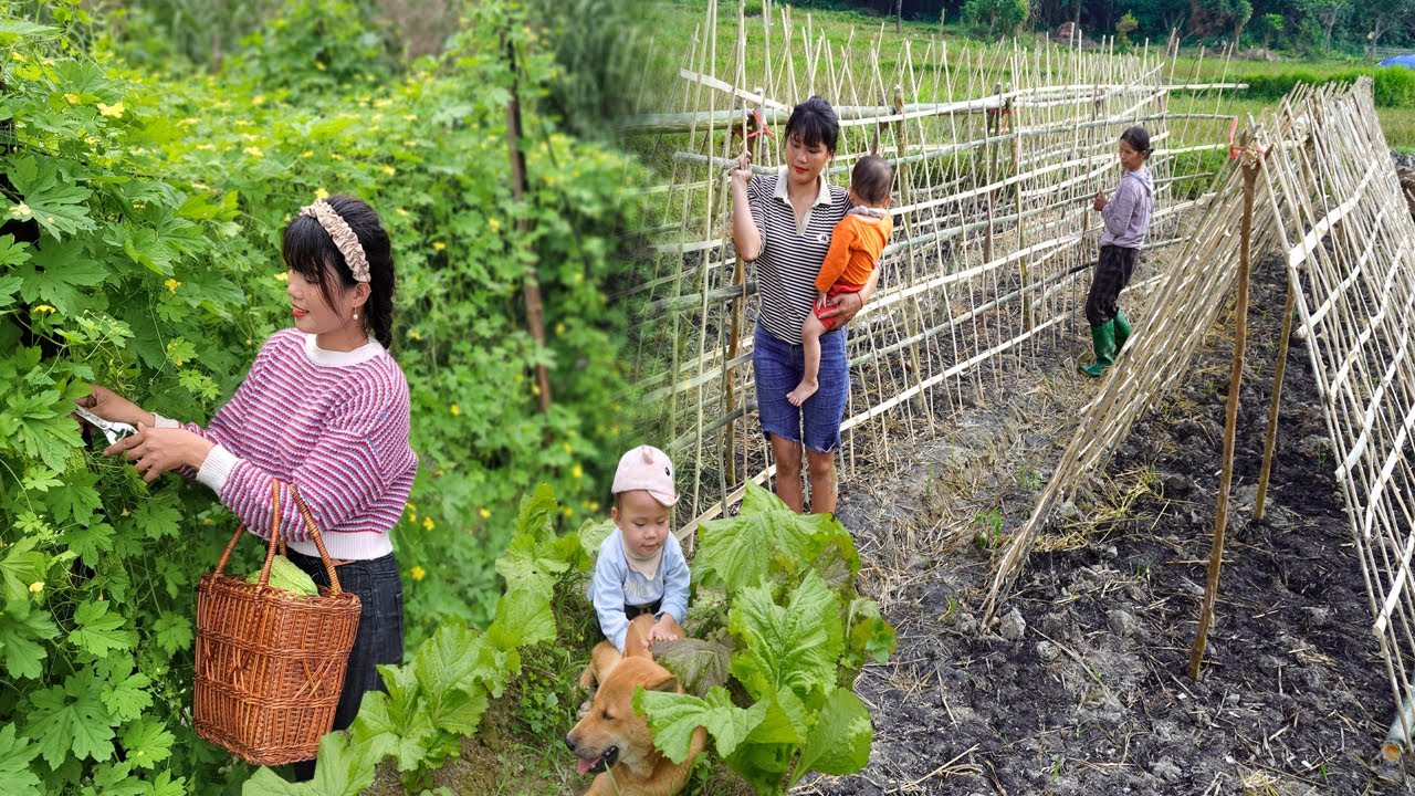 96 days alone to build a new farm - Harvest agricultural products ...