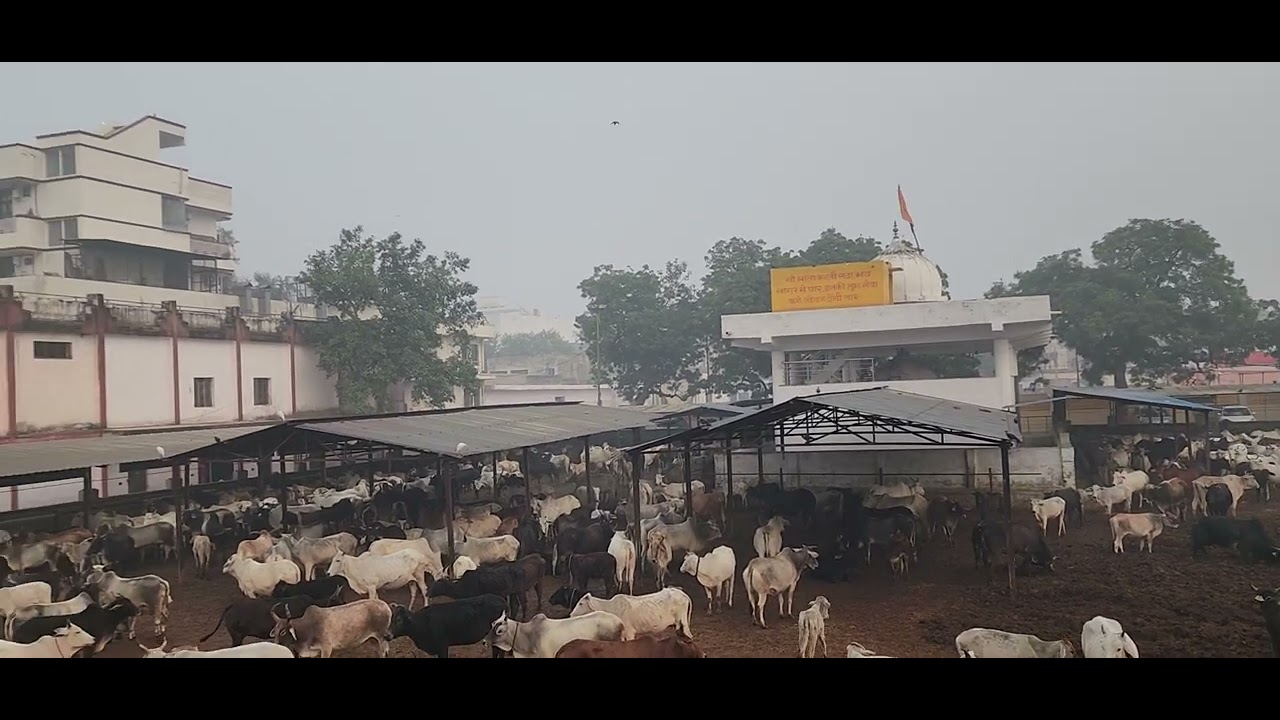 SHREE HANUMAN JI KI SHARAN MEI RAHO🙏🙏🙏🙏🙏🙏🙏🙏🙏🎉🎉🎉🎉🎉🎊🎊🎊🎊🎊🚩🚩🚩🚩🚩🚩🚩🚩🚩 - YouTube