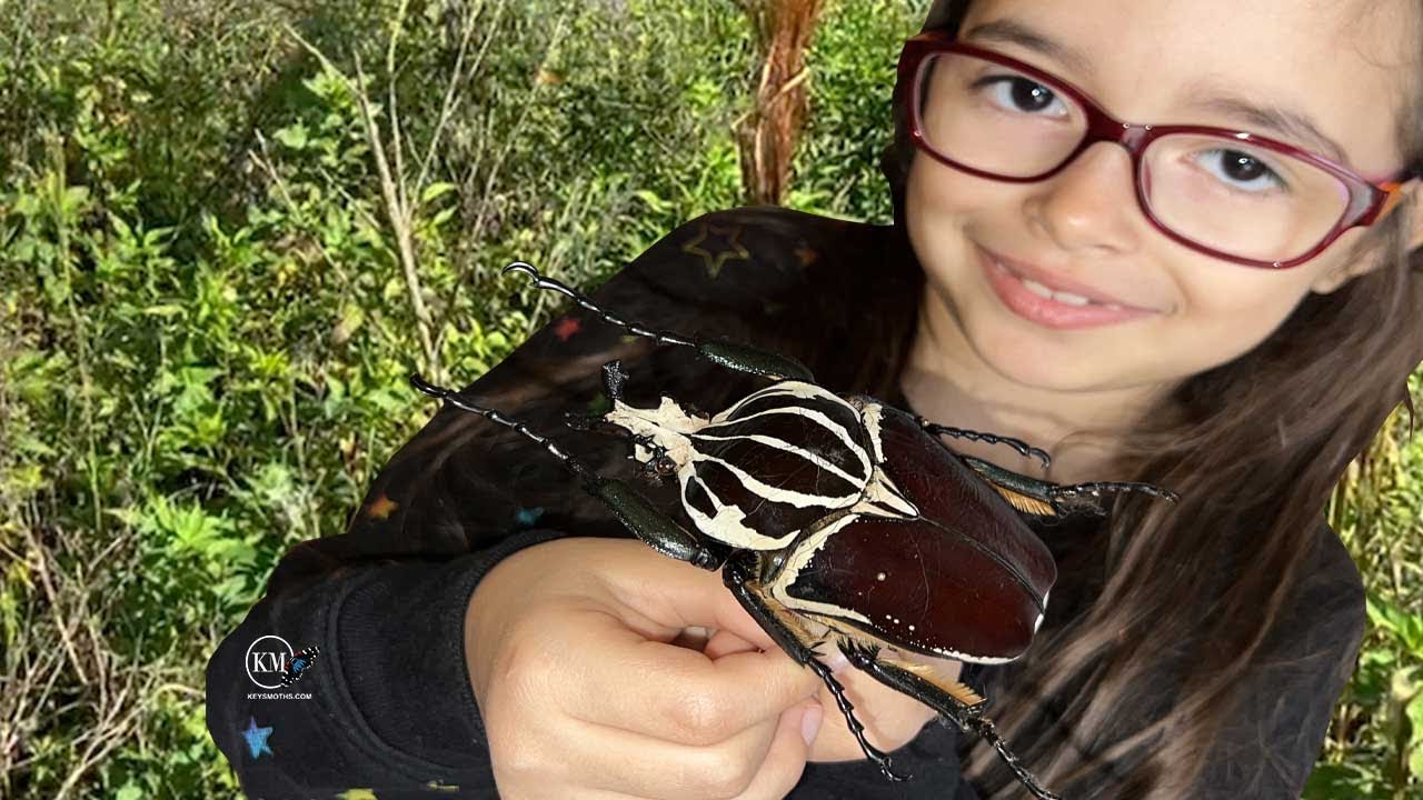 THIS LITTLE GIRL LOVES BUGS! - YouTube