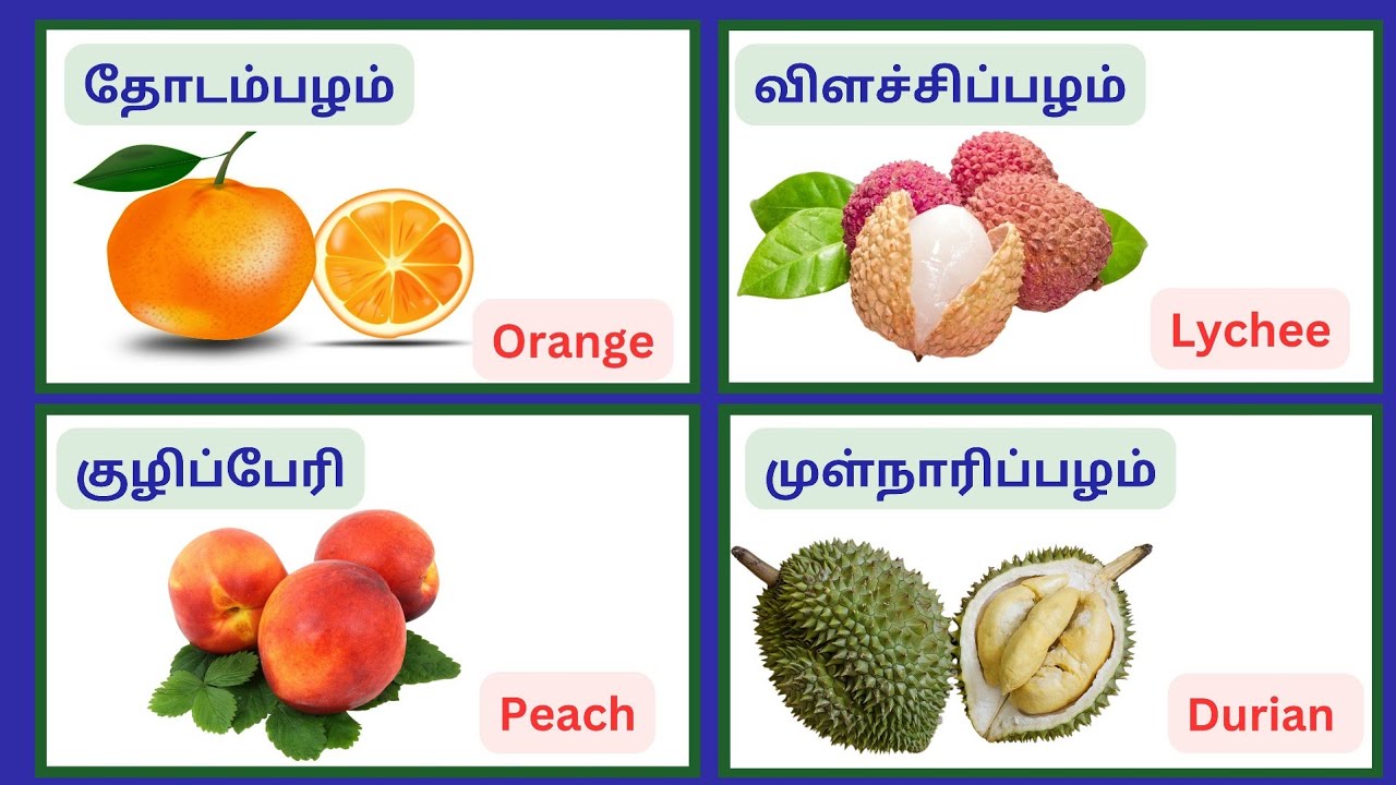 Fruits name/பழங்களின் பெயர்கள்/Learn fruits 🍉🍎🍇name in tamil and ...