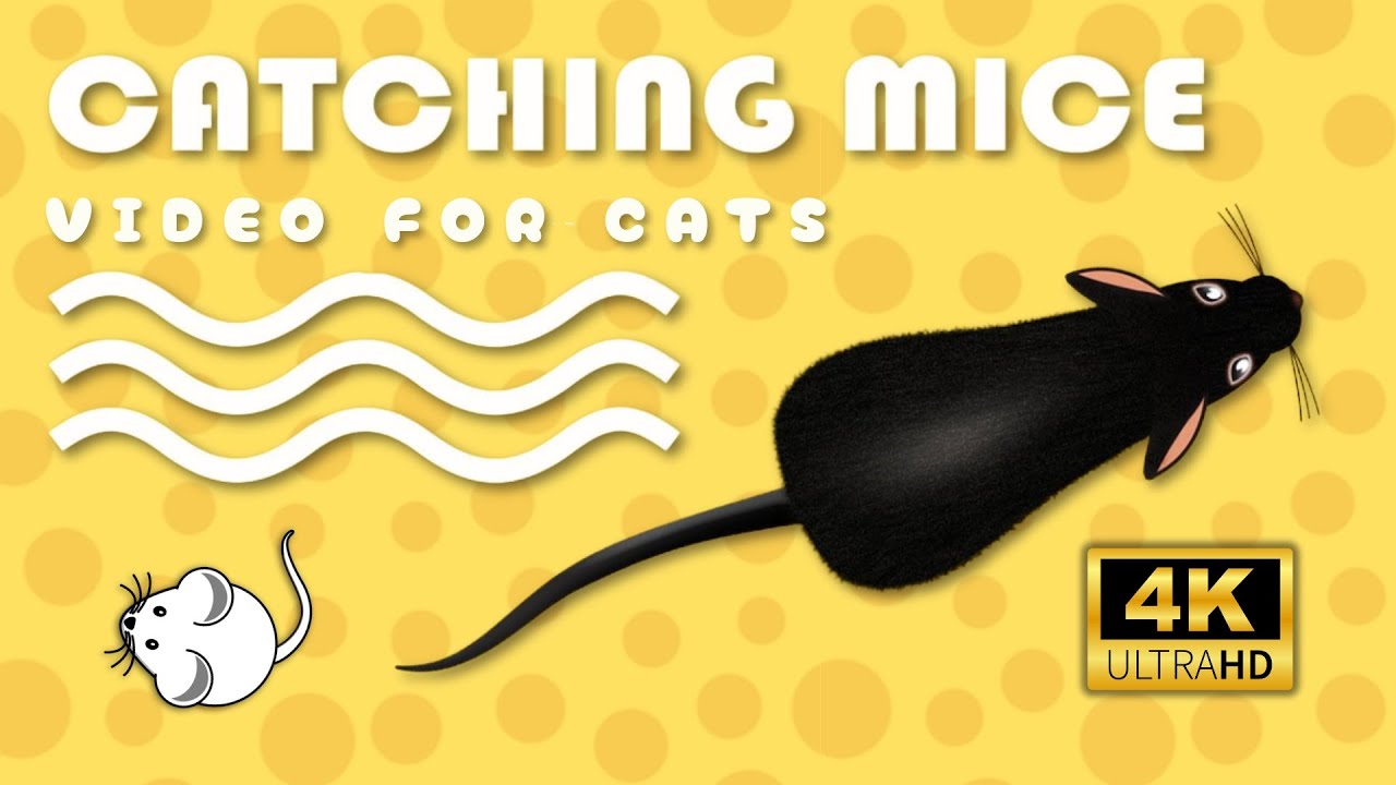 CAT GAMES Catching Mice! Entertainment Video for Cats to Watch CAT ...