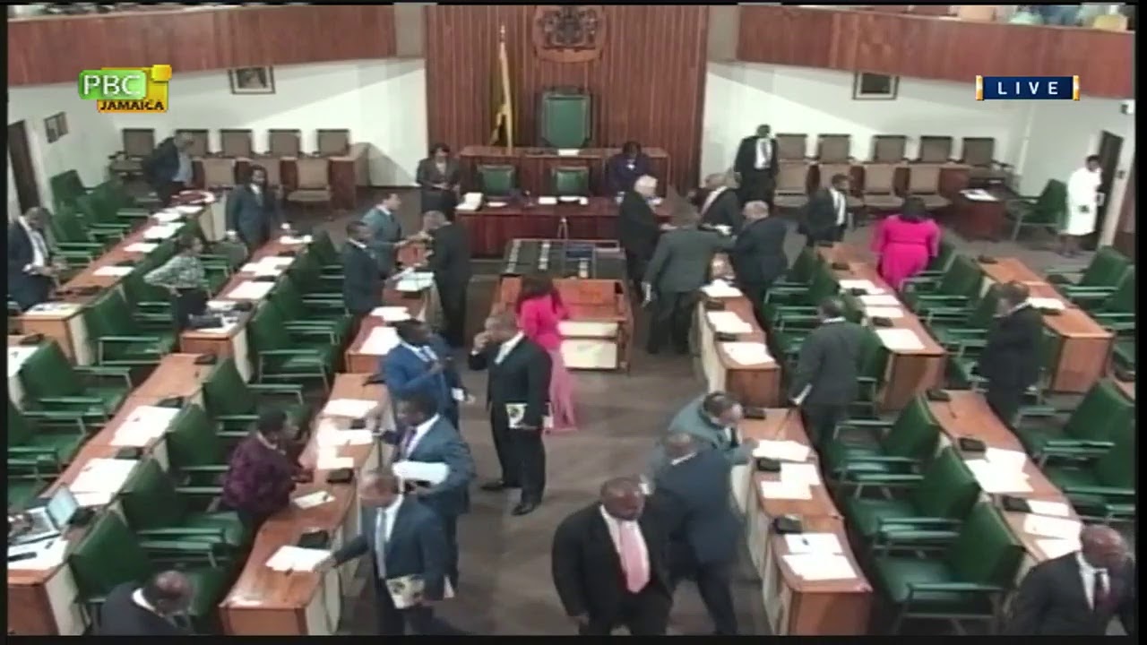 Sitting of the House of Representatives - March 17, 2020 - YouTube