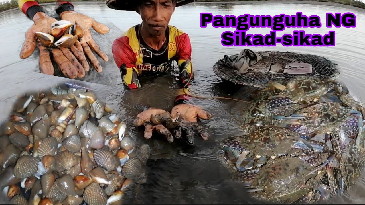 episode 100,pangunguha NG sikad-sikad - YouTube