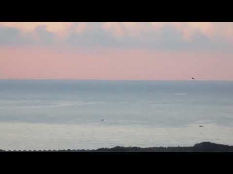 0173  -  https://www.youtube.com/@YICTR61-oh4re  - NANZARA  DOĞA  İLGİNÇ  OTJİNAL  GERÇEK  KAYIT