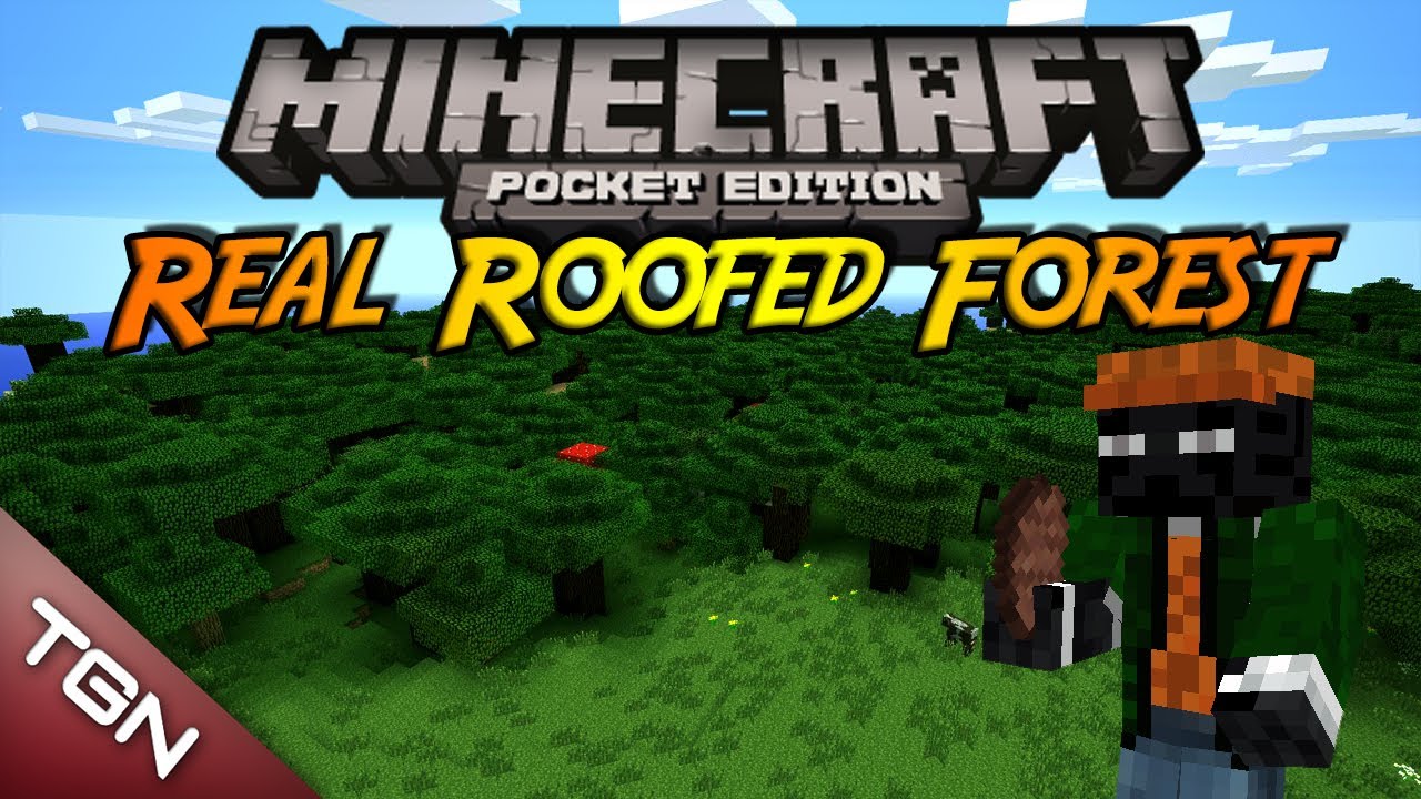 Real Roofed Forest | Minecraft PE Biomas | +Textura (Español) - YouTube