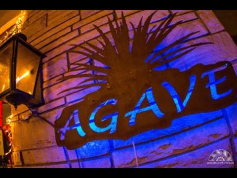 Heilig Paints for Twiddle at The Agave 2015