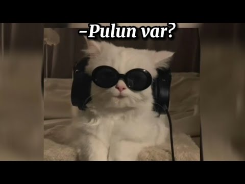 Arşın Mal Alan-Pulun Var?[speed up]