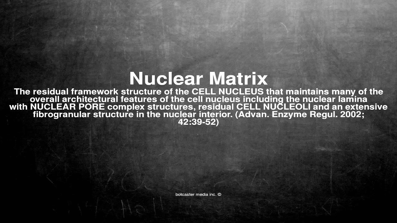 Medical vocabulary: What does Nuclear Matrix mean - YouTube