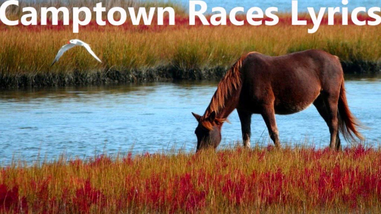 Camptown Races Lyrics - YouTube