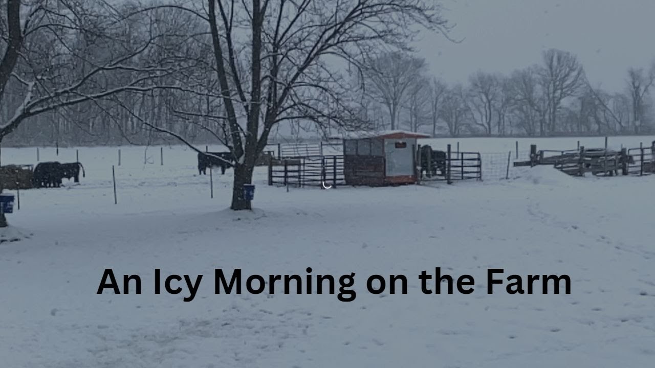 Icy Morning on the Farm - YouTube