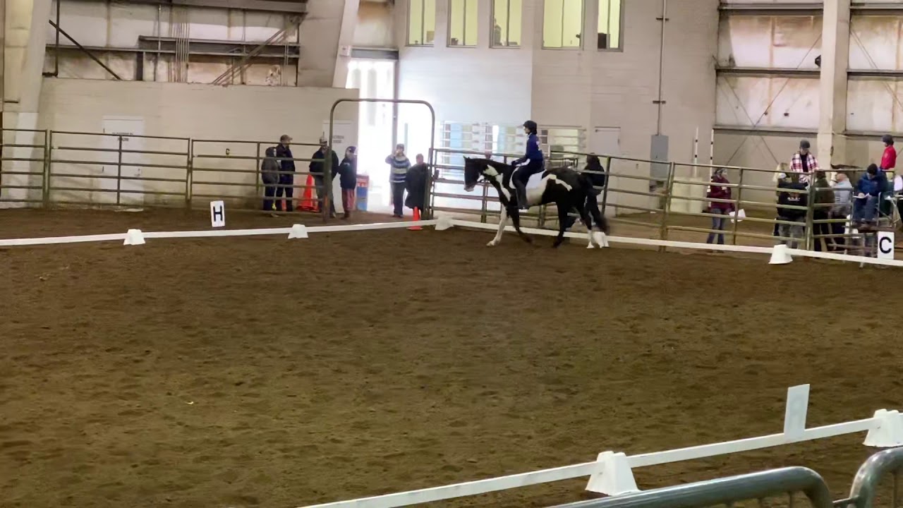 OHSET meet #2 2020 dressage - YouTube