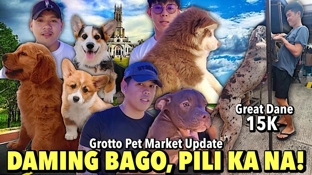 MGA BAGSAK PRESYONG PETS SA GROTTO PET MARKET | SEPTEMBER 01, 2024 ...
