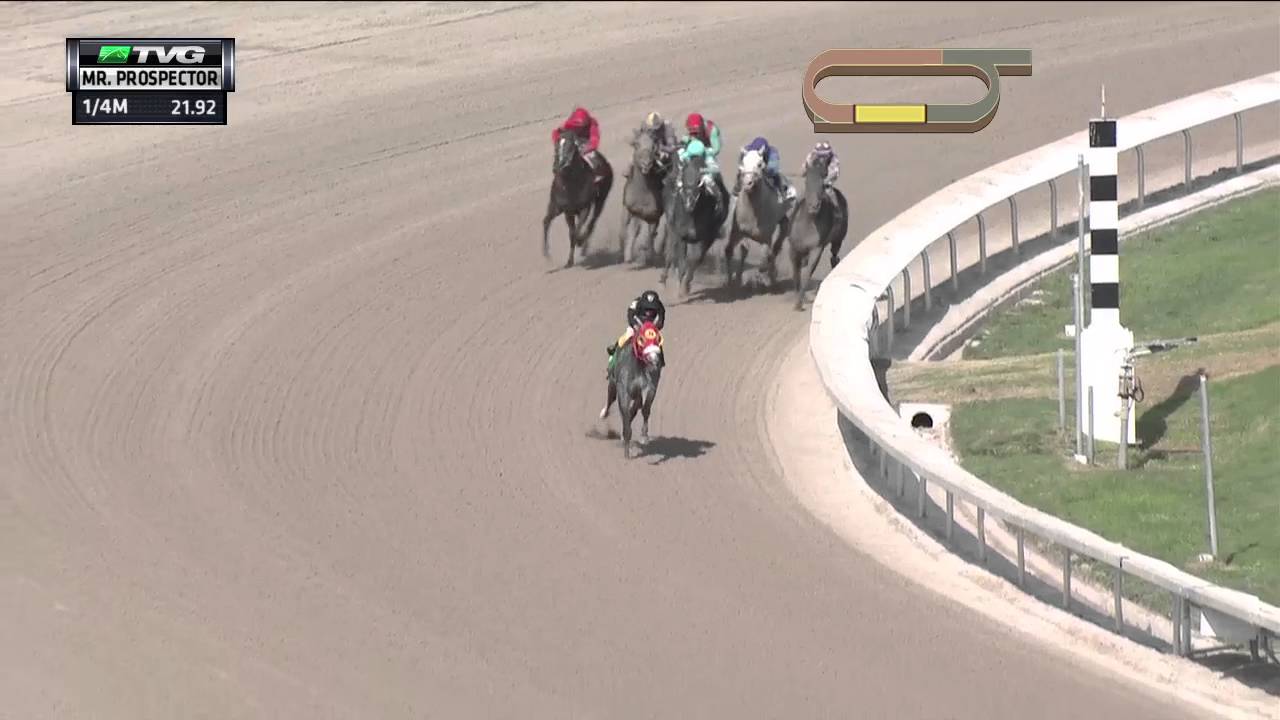 RACE REPLAY: 2015 Mr. Prospector Stakes - YouTube