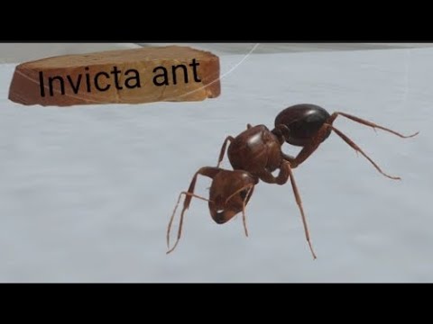 Invicta ant | Ant sim tycoon - YouTube