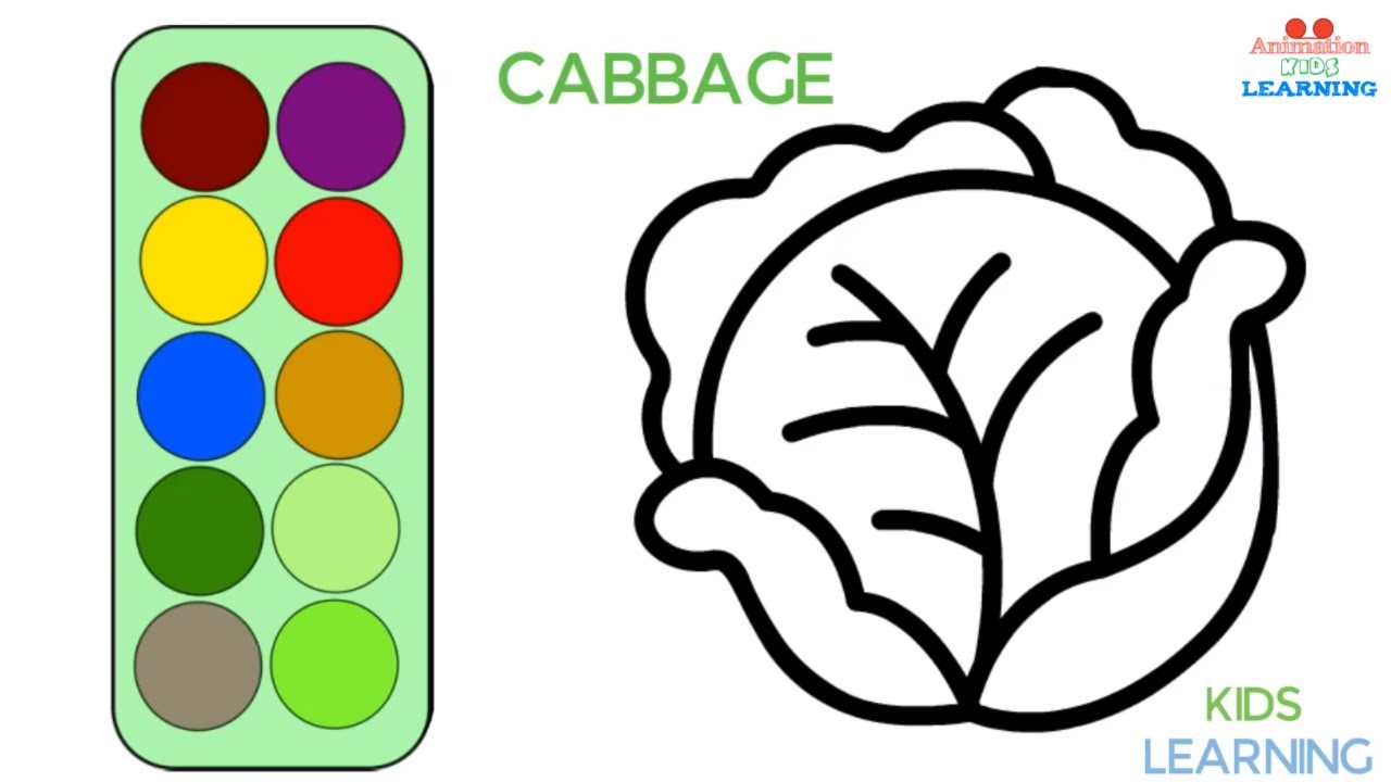 How to draw and color a cabbage | Videos for children | Learn colors ...