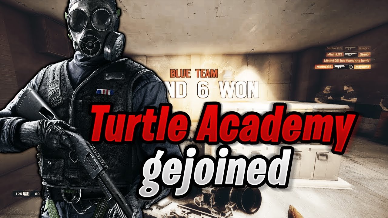 Endlich ein NEUES Team GEFUNDEN! "Turtle Academy, LETS GO" - YouTube