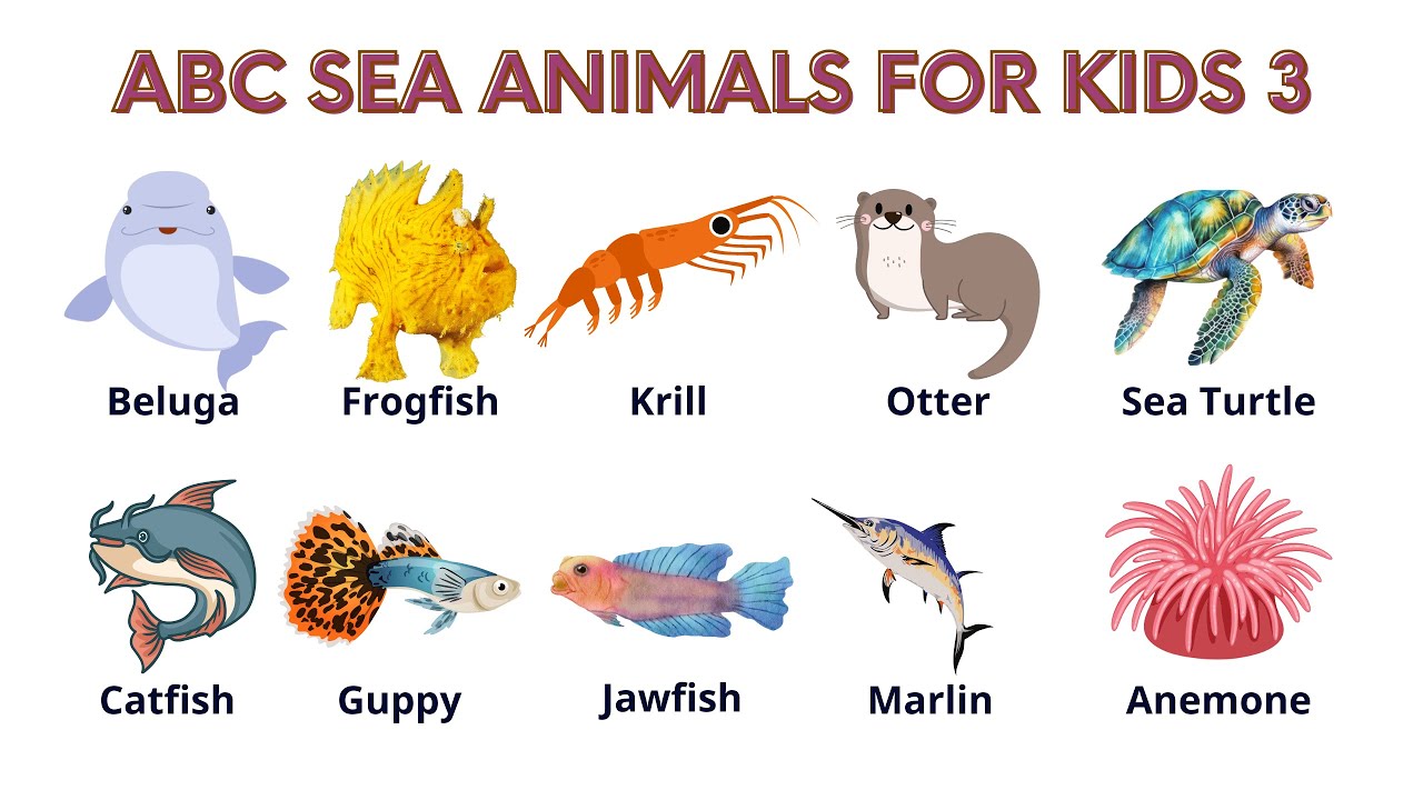 ABC Alphabet Adventure: Discover Amazing Sea Animals for Kids - YouTube