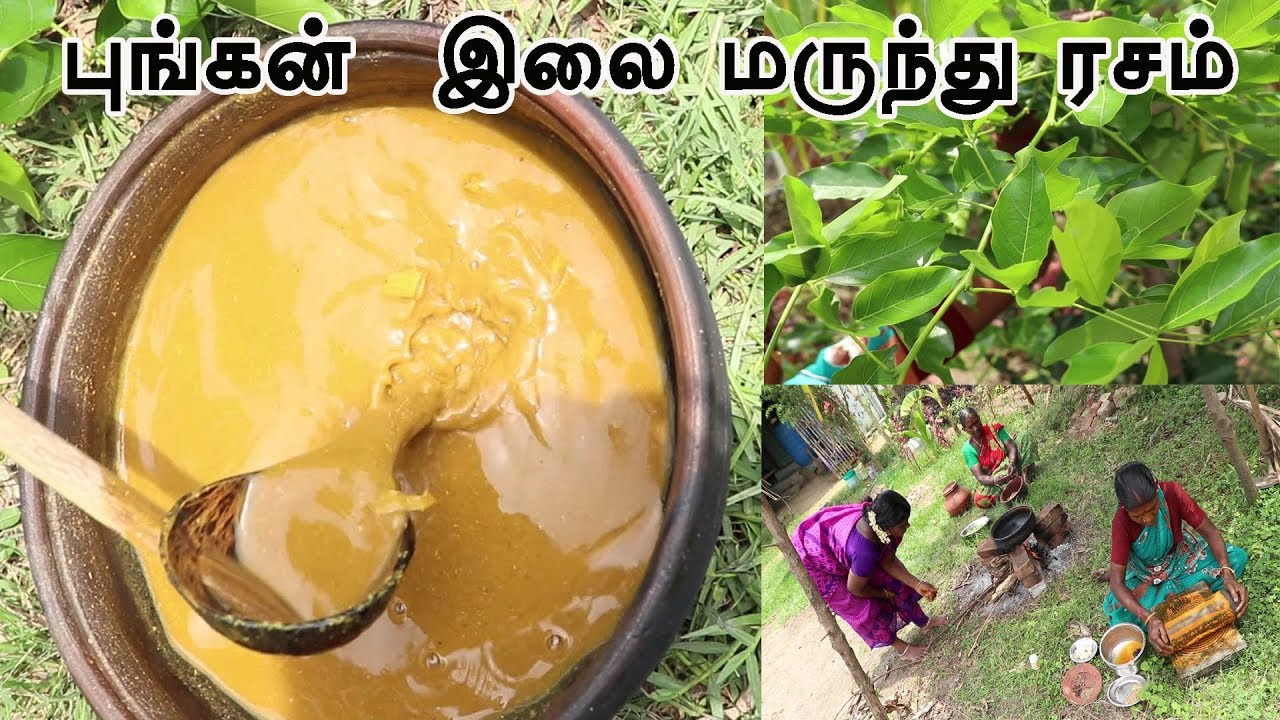 புங்கன் இலை மருந்து ரசம் / புங்கன் இலை மருந்து குழம்பு / Pongamia Leaf ...