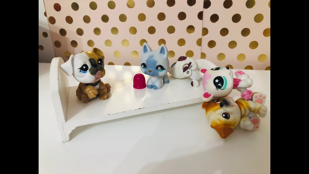 LPS Bluey Bus Short Fim Funny - YouTube