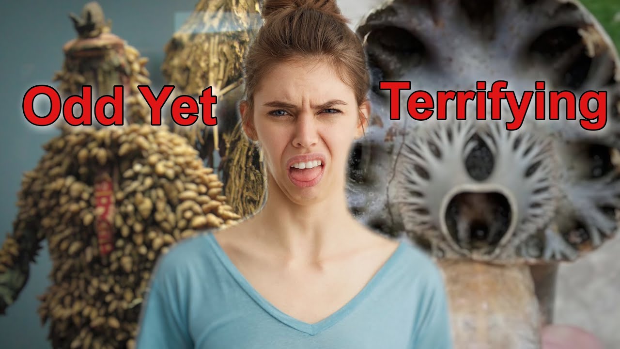 Most Terrifying Things On The Internet - YouTube