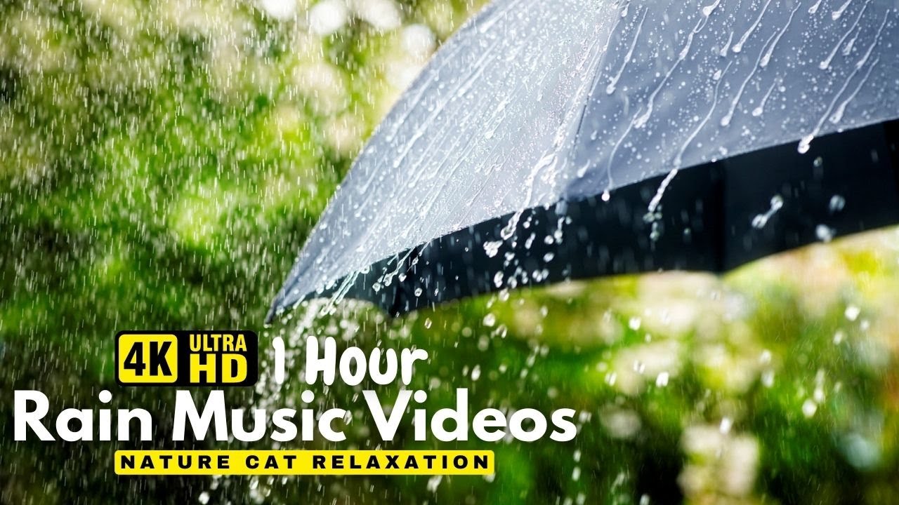Calming Piano Music with Rain & Thunder Sounds for Sleep or Relaxing ...