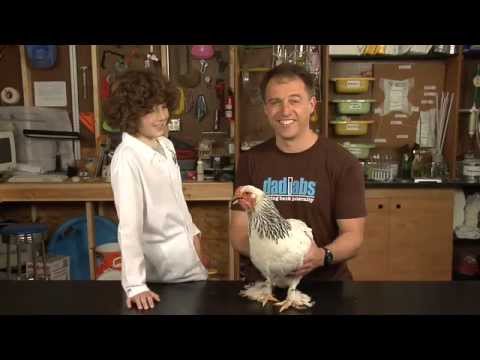 The Science of Farts - Video