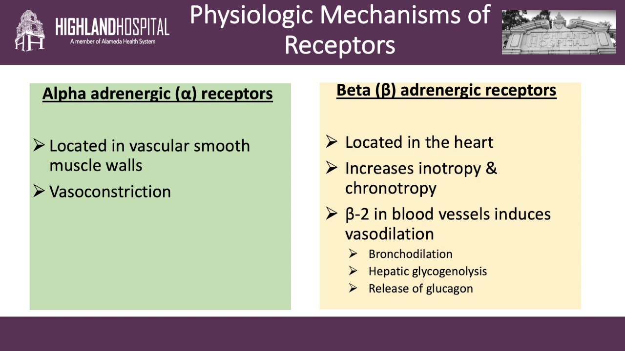 Vasopressors & Inotropes - YouTube