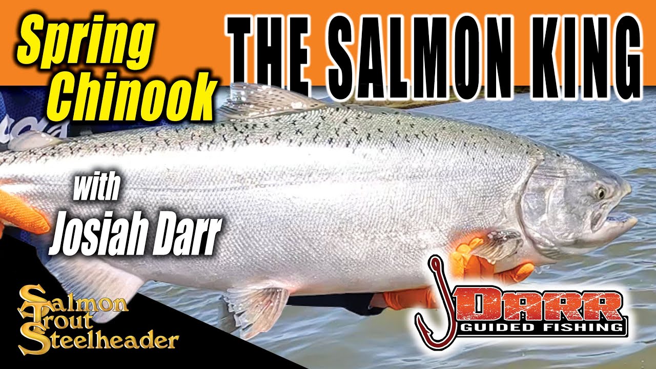 Spring Chinook THE SALMON KING! - YouTube