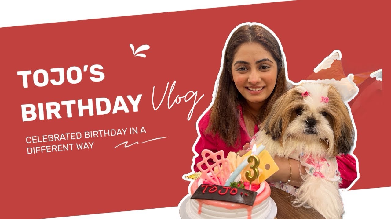 Celebrated Tojo’s Birthday in a different way | Do watch the full video ...