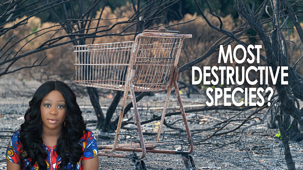 Are Humans the Most Destructive Species on Earth? Human-Wildlife ...