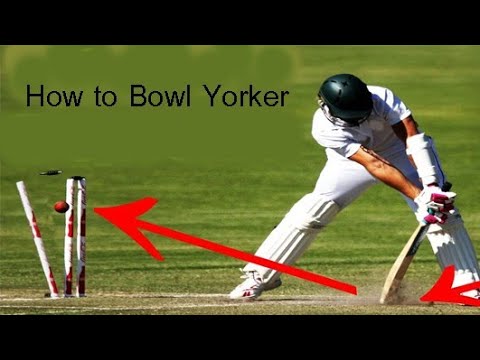 Cricket bowling tips Yorker Practice | Like Nothing But Cricket | - YouTube
