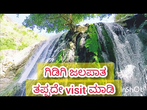 GIDIGI water falls near by Venkatagiri kota - YouTube