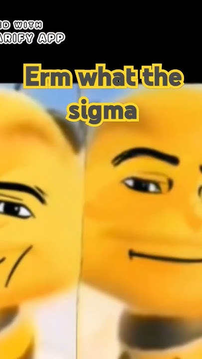 What The Sigma #funny #sigmameme #memes #sigm #comedy #funnysigma #