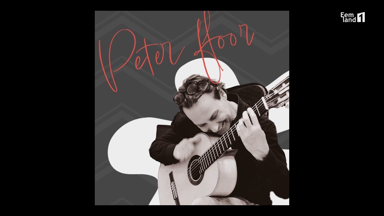 Gitarist Peter Floor speelt bij Elrecom - YouTube