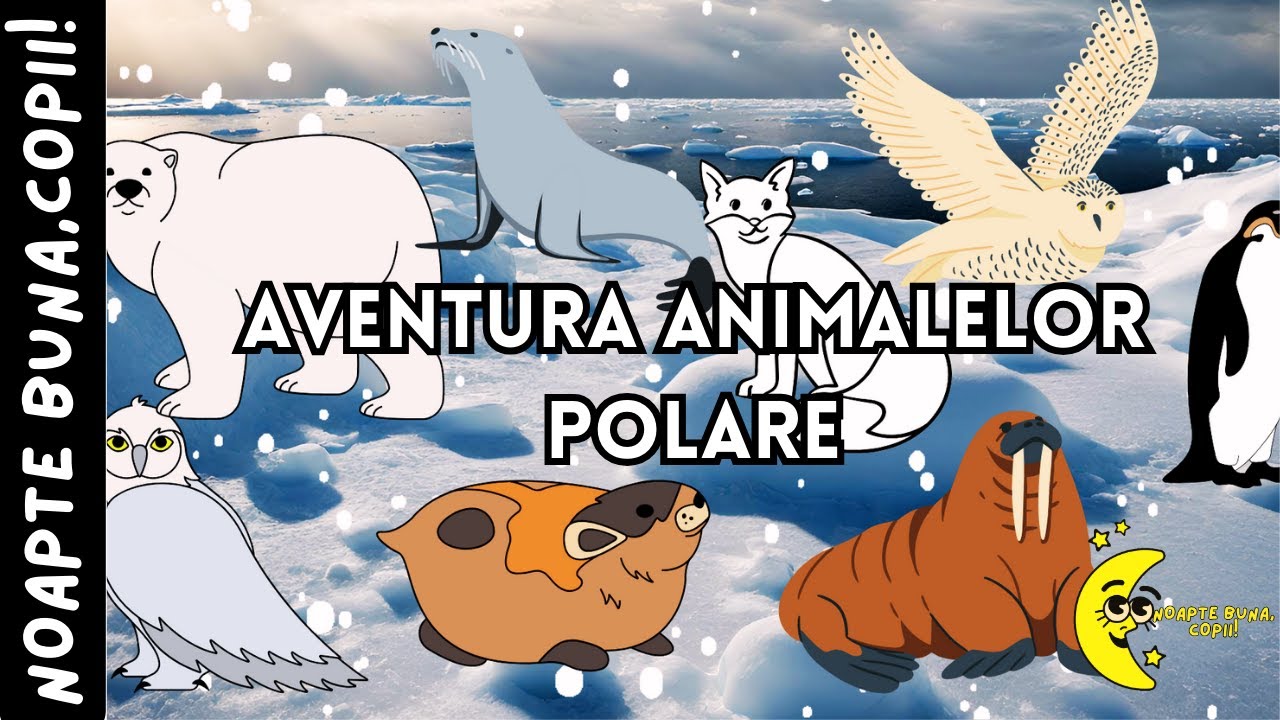 Aventura 🏔 Animalelor Polare 🦭🐧🐻‍ ️- Educație pentru Copii 👨‍👩‍👧‍👧 ...