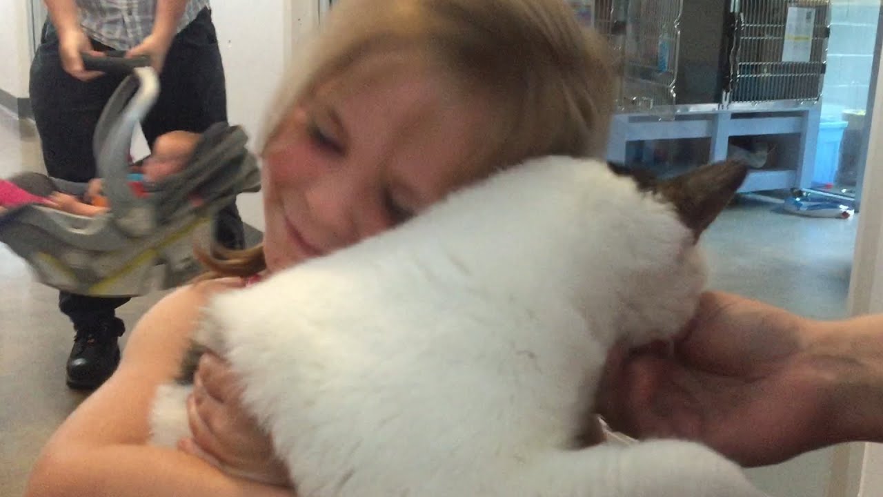 Little Girl Reunited With Her Lost Kitten 2020 - YouTube
