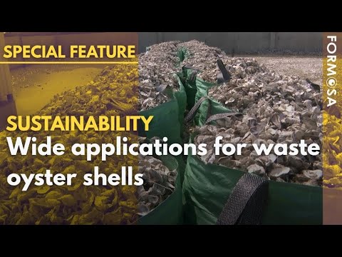 Discarded oyster shells recycled for a wide range of applications｜Taiwan News