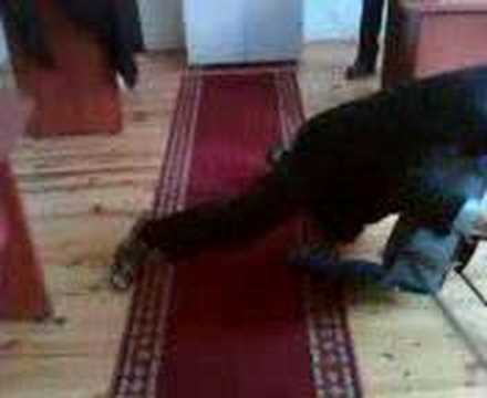 sandelye güreşcisi,