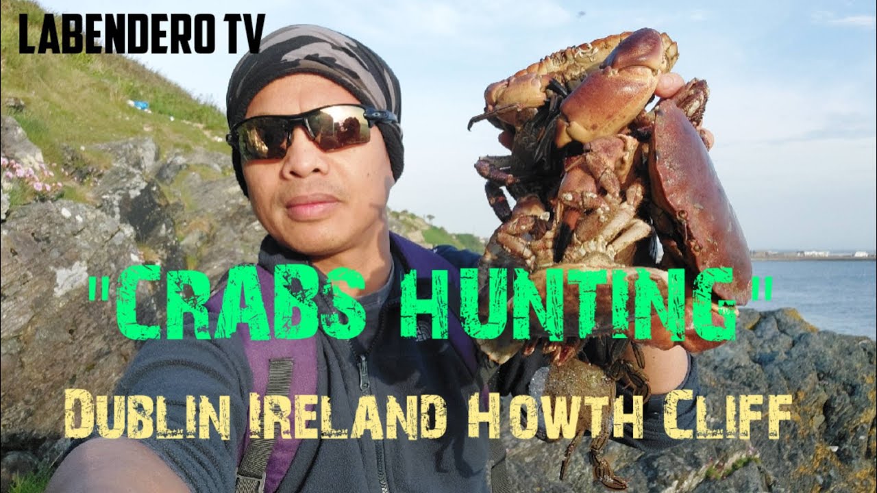 EP3 - Catching Crabs in HOWTH Cliff, DUBLIN IRELAND. - YouTube