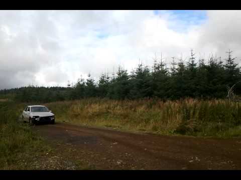 banger car in rumpster