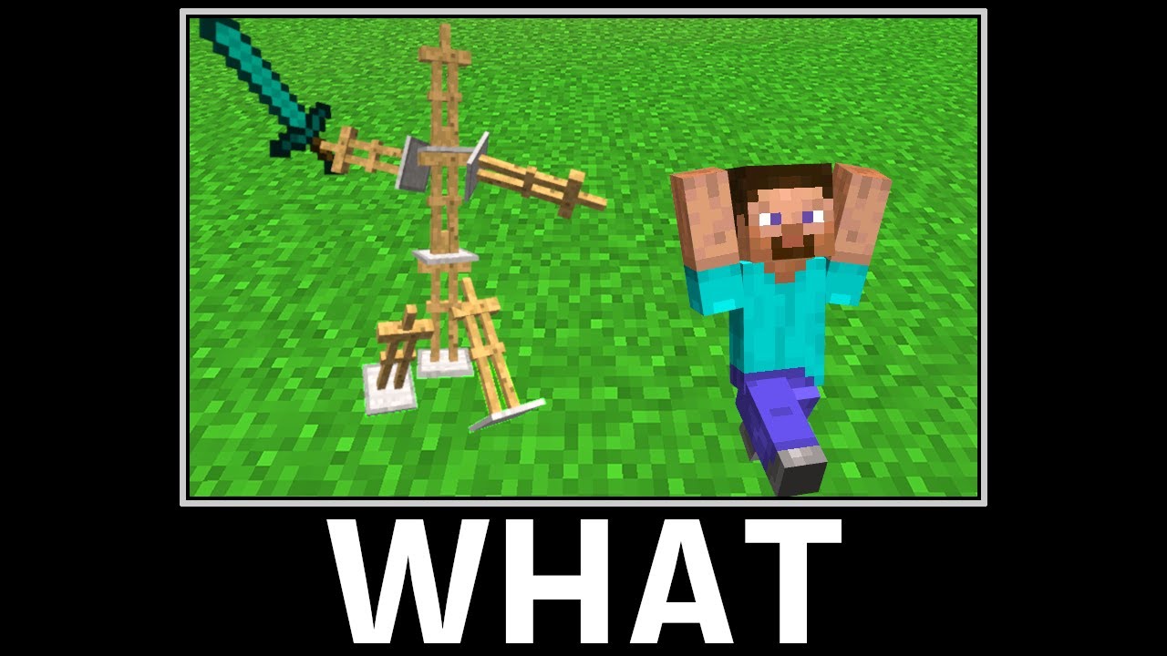 WAIT WHAT (Minecraft) #4 - YouTube