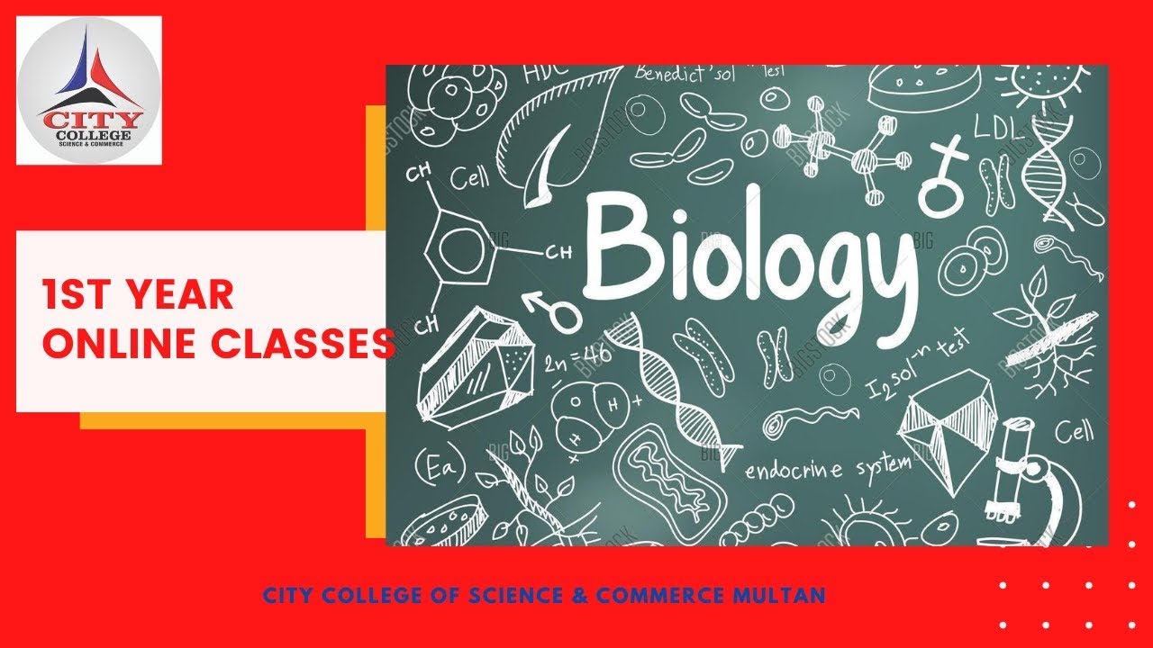 Biology,Lecture#9,1st Year - YouTube