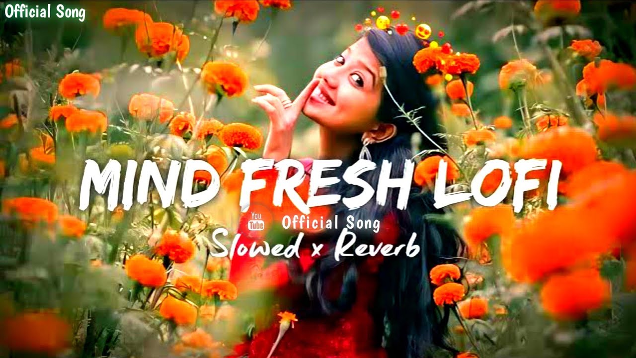 Top 2 Best Mind Relaxing Music / Lo-fi Song Hindi Romantic Song / Best ...