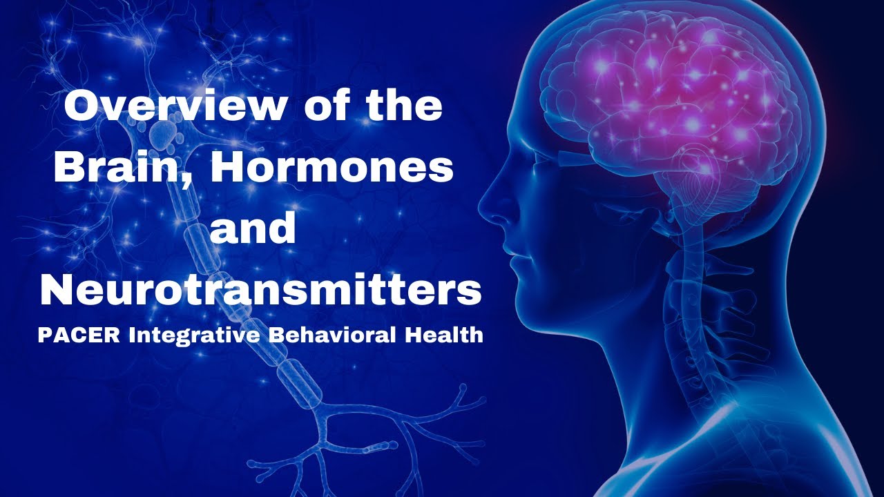 Overview of the Brain, Hormones and Neurotransmitters: PACER ...