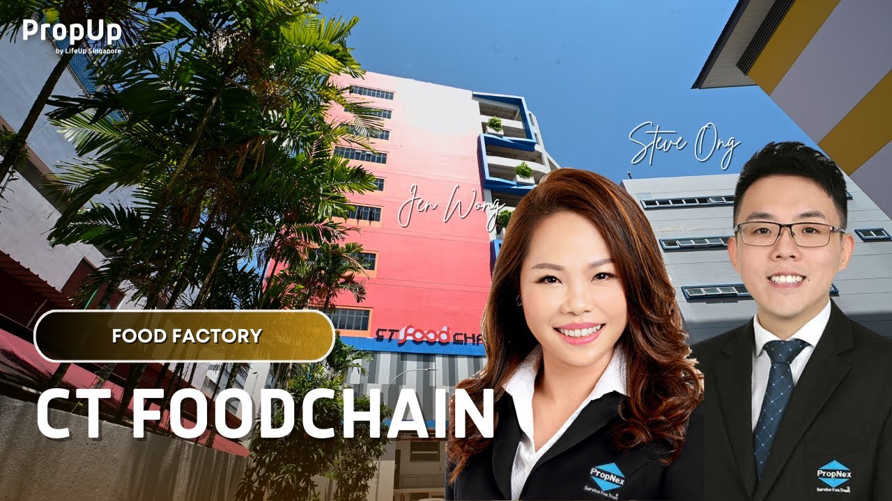 CT FOOD CHAIN - YouTube