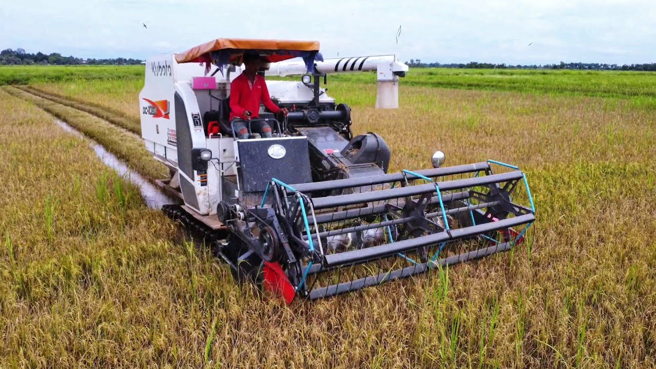Wonderful Combine Harvestor Operating Techniques Harvet Rice Safety ...