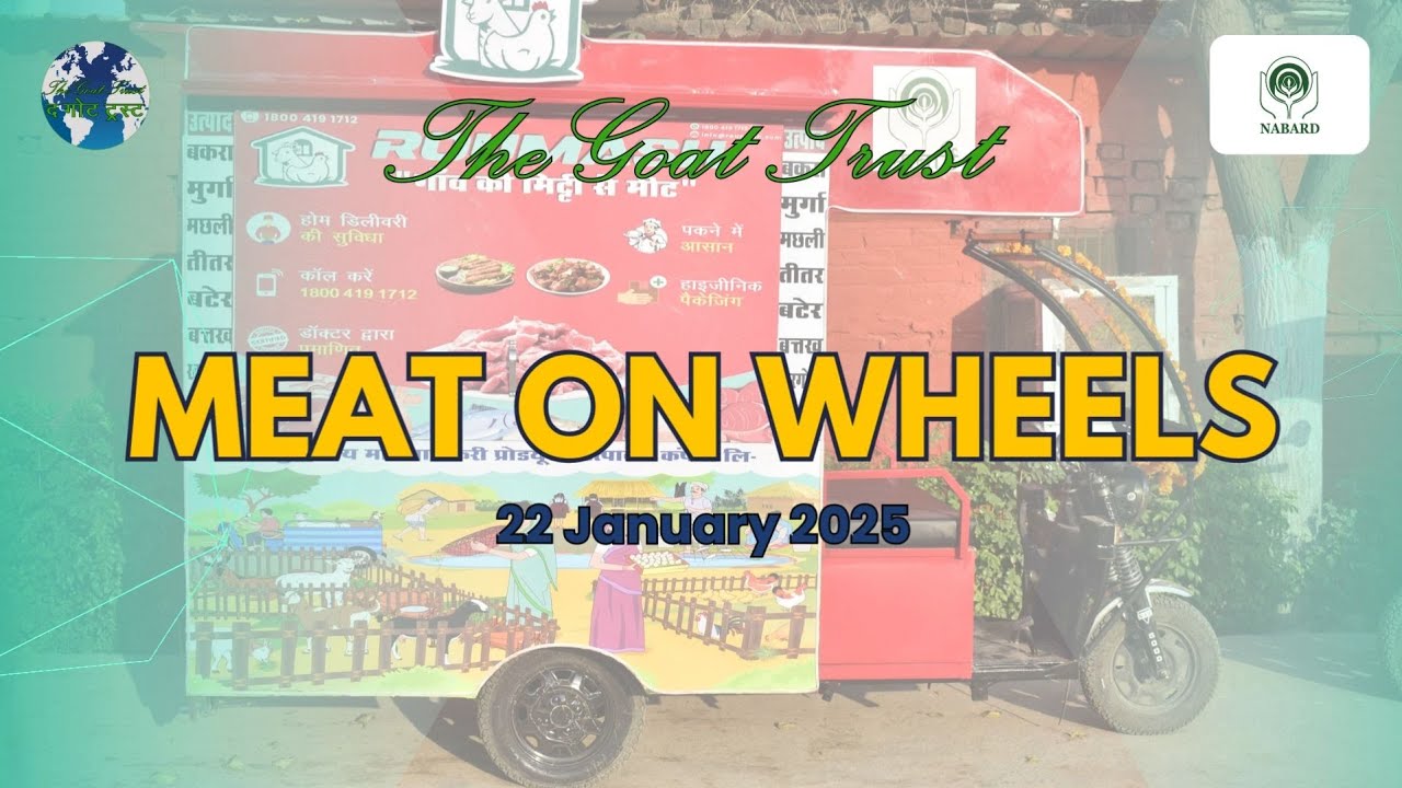 Meat on Wheels | The Goat Trust | - YouTube