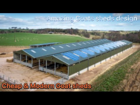 Cheap and cost effective modern Goats sheds | high tech Modern goat ...
