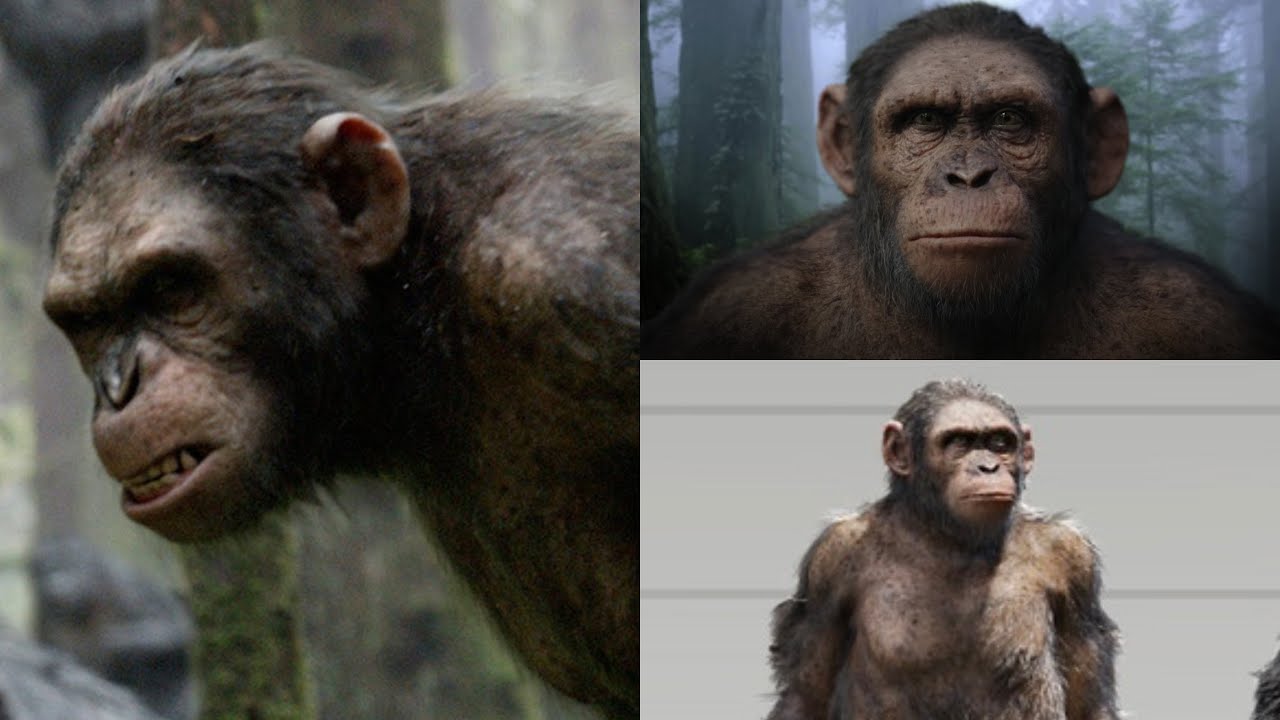 Grey screen time - Dawn of The Planet Of The Apes - YouTube