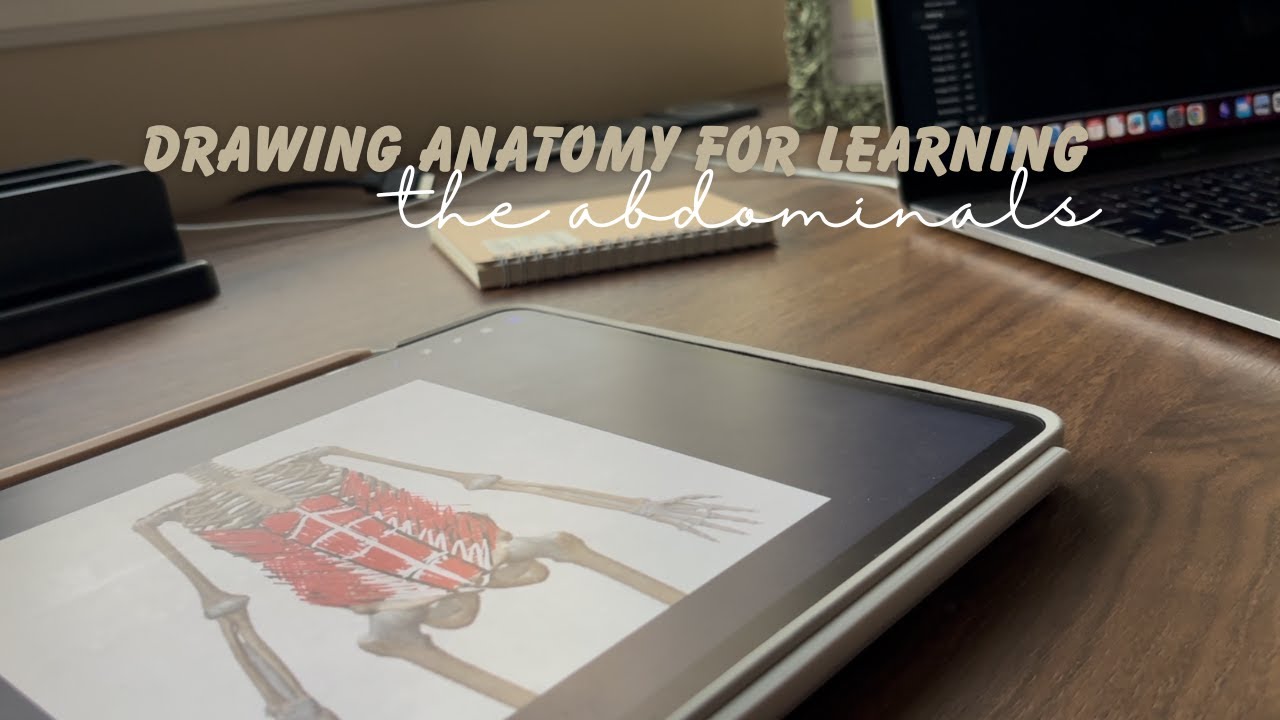How to use drawing as a learning tool (abdominal muscles) - YouTube